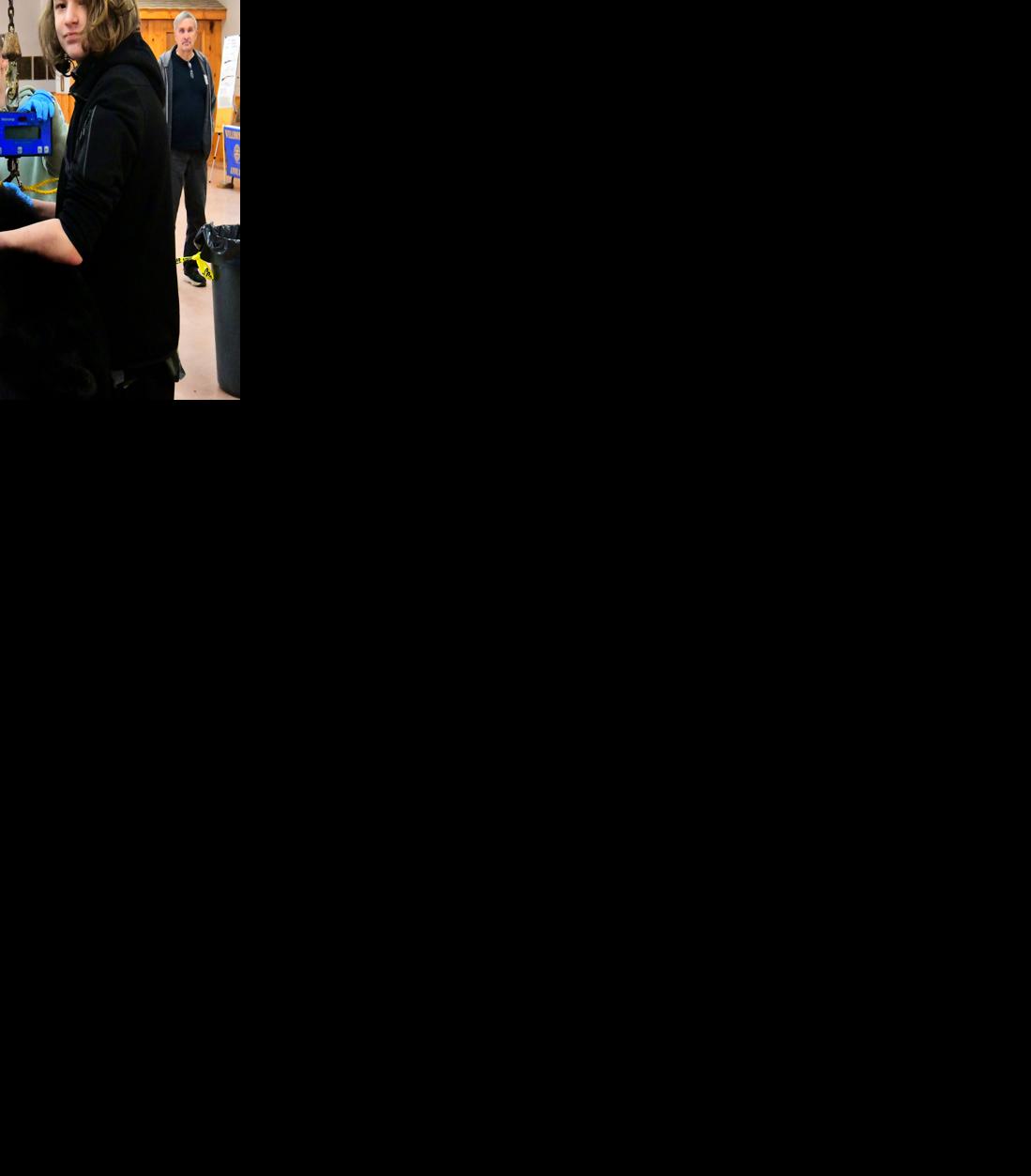 Bear check station operates in Wellsboro | Lifestyle | tiogapublishing.com