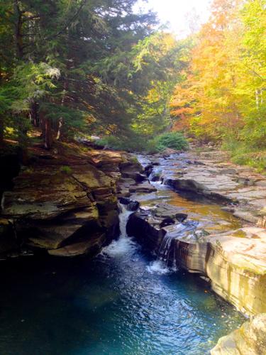 Tioga County, home of many scenic waterfalls | Local | tiogapublishing.com