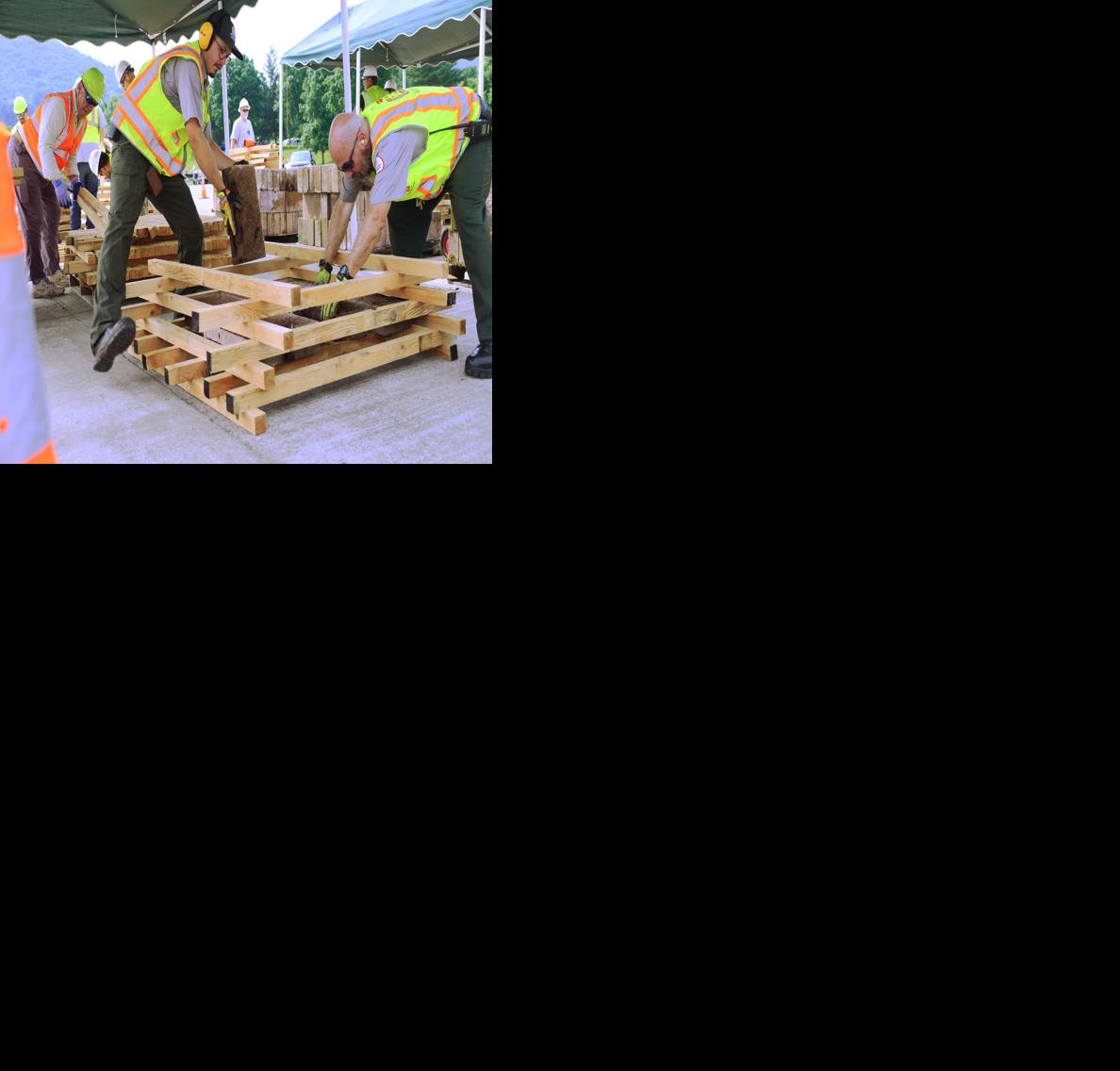 Volunteers create healthy habitat for Hammond Lake fishery | Local ...