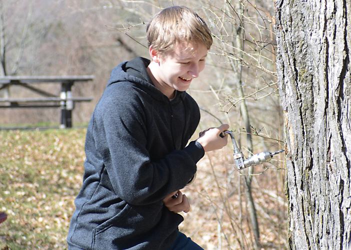 All about maple | Local | tiogapublishing.com