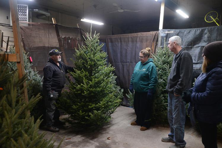 Not one idle acre; tree farm celebrates century | Local ...