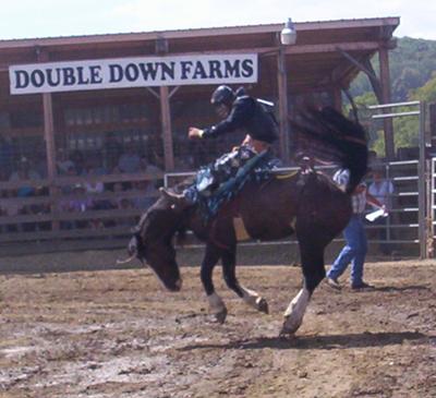 Leo R. Gee Memorial Rodeo lassos in fun | News | tiogapublishing.com