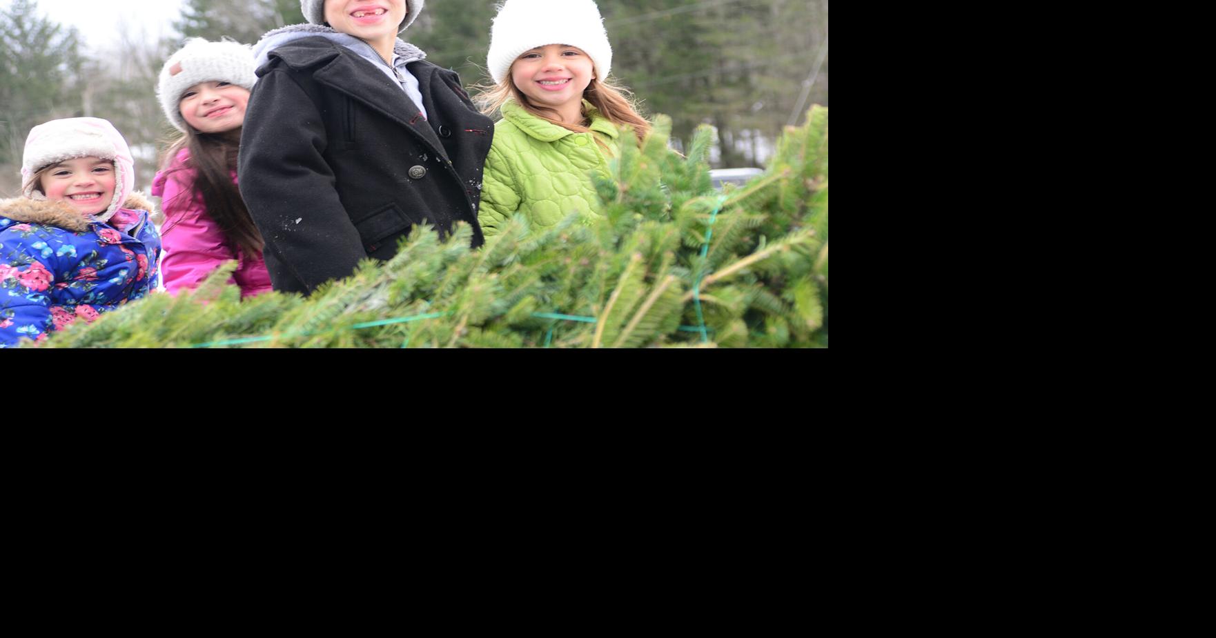 Local tree farms can begin a family tradition | Special Sections ...