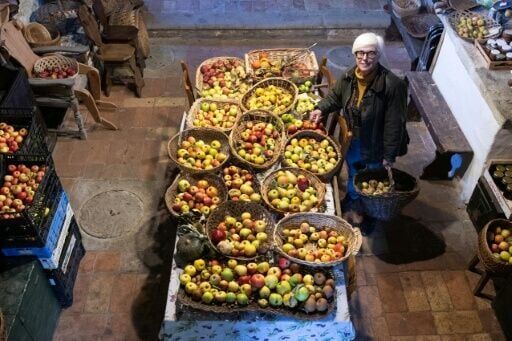 Italian fruit detective racing to save forgotten varieties | News ...