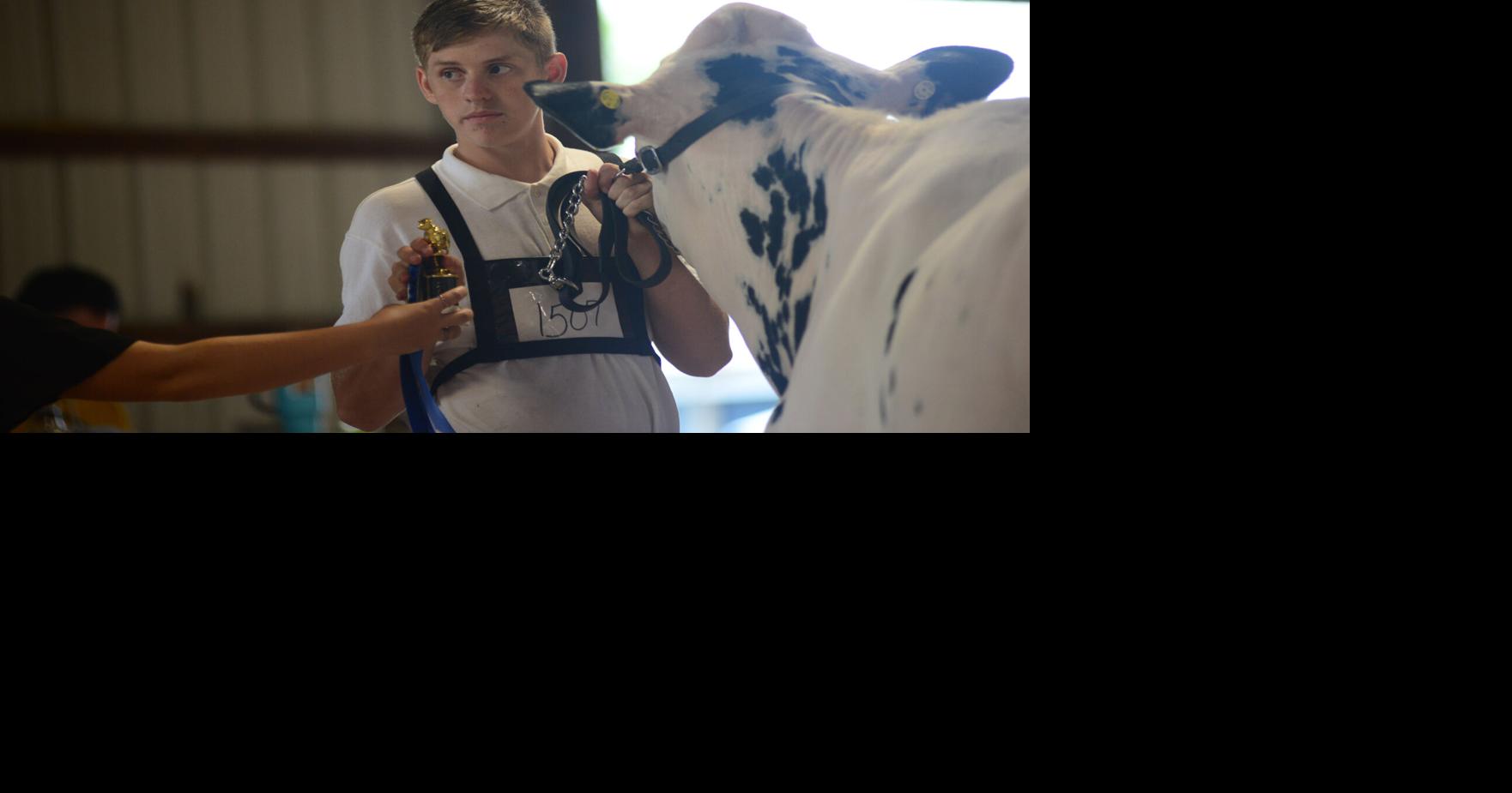 Potter County Fair wraps up week of activities | Local ...