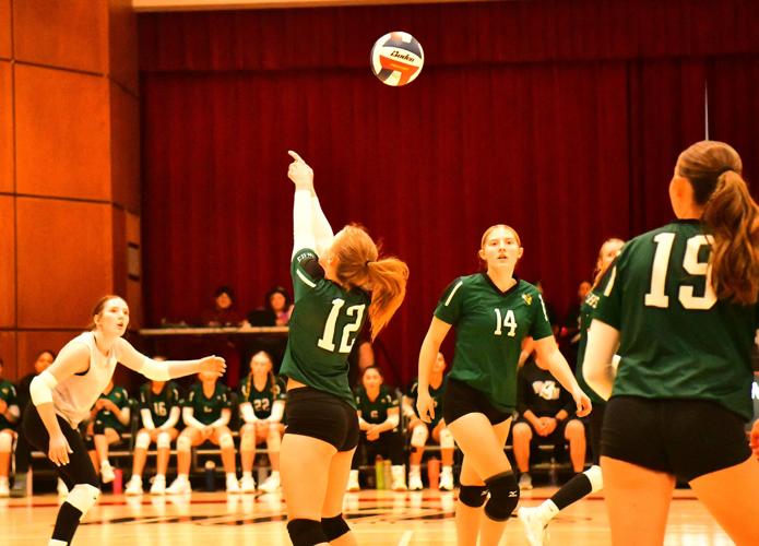 Wellsboro earns five-set victory in Liberty | The Wellsboro/Mansfield ...