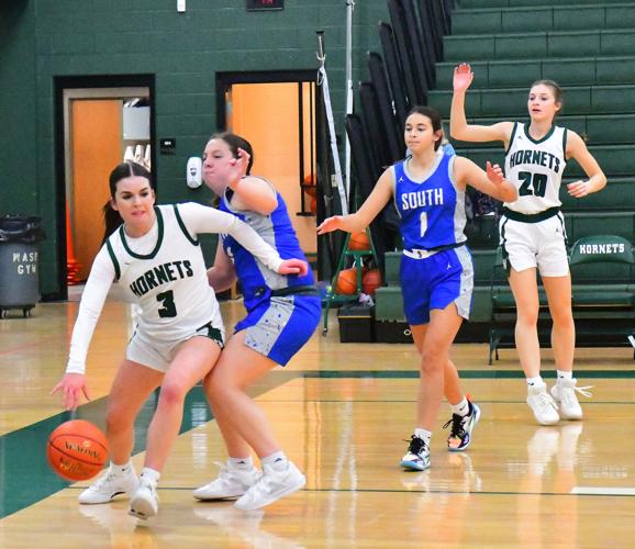 Lady Hornets roll to 2-0 start | The Wellsboro/Mansfield Gazette ...