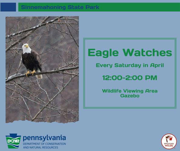 April programs at Sinnemahoning State Park | Community | tiogapublishing.com