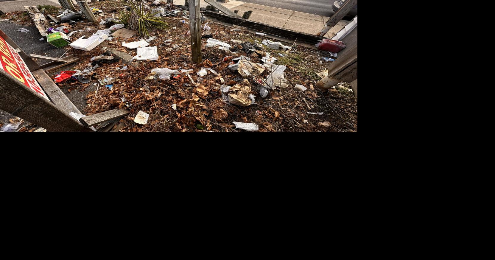 Lens on Litter photography contest open | Community | tiogapublishing.com