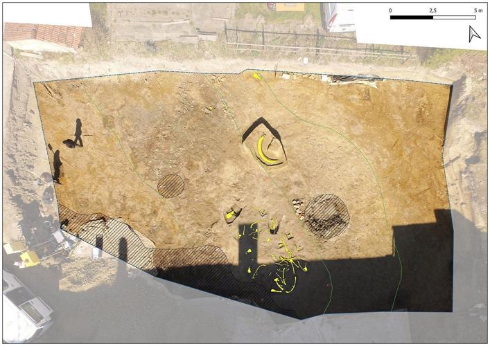 Ice Age woolly mammoth found likely butchered by hunters | News ...
