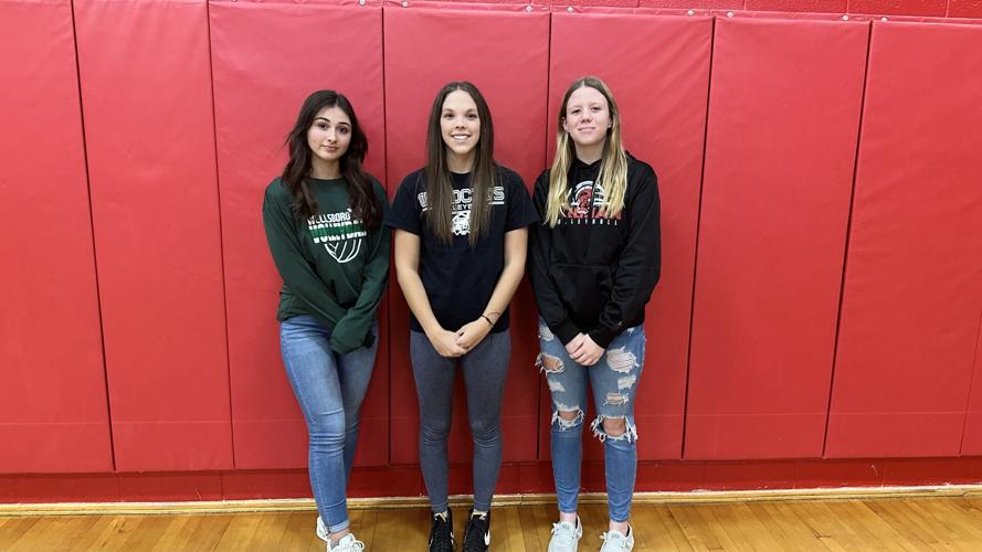 NTL announces 2023 volleyball All-Stars | The Wellsboro/Mansfield ...
