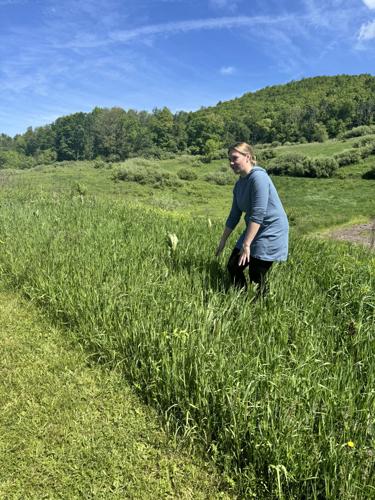 Mill Cove's butterfly program takes flight | Local | tiogapublishing.com