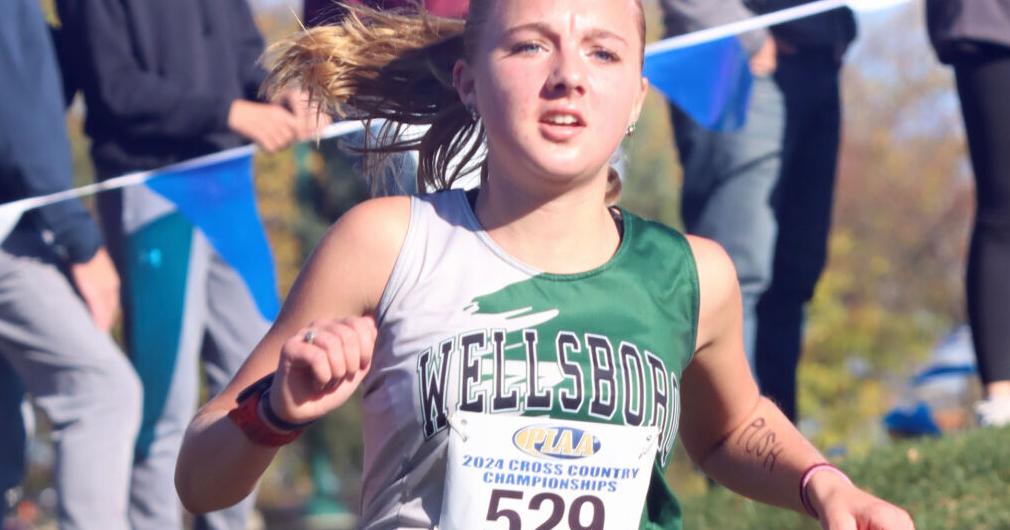 Kosek brings home State Medal | The Wellsboro/Mansfield Gazette ...