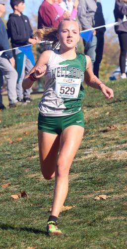 Kosek brings home State Medal | The Wellsboro/Mansfield Gazette ...