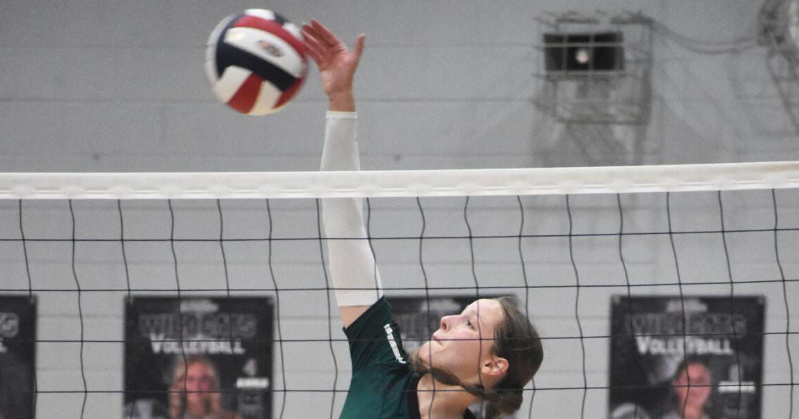 Tioga Publishing 2024 Volleyball All-Stars | The Wellsboro/Mansfield ...