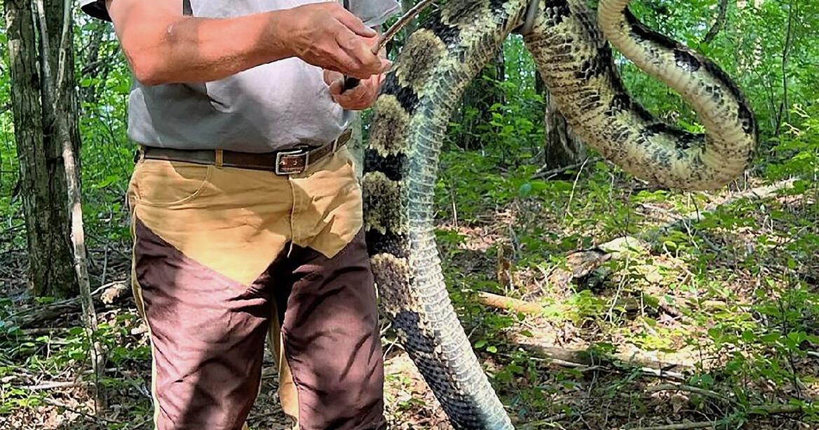 Local rattlesnake hunter retires as state champ | Local ...