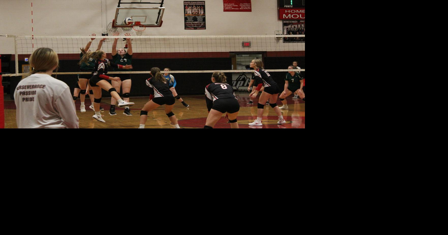 NPL remains undefeated in NTL volleyball | Free Press-Courier | tiogapublishing.com