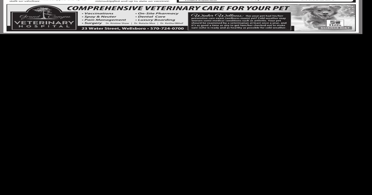 516803.pdf | Free Press Courier | tiogapublishing.com