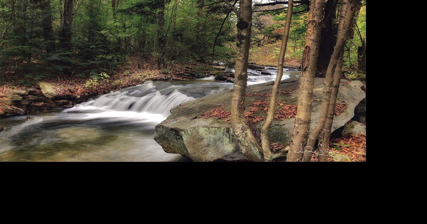 Tioga County, home of many scenic waterfalls | Local | tiogapublishing.com