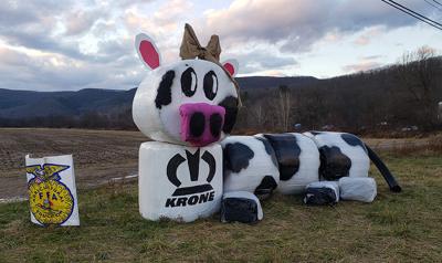 FFA builds hay bale cow for contest entry | Local | tiogapublishing.com