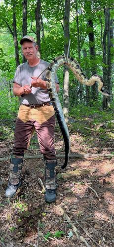 Local rattlesnake hunter retires as state champ | Local ...