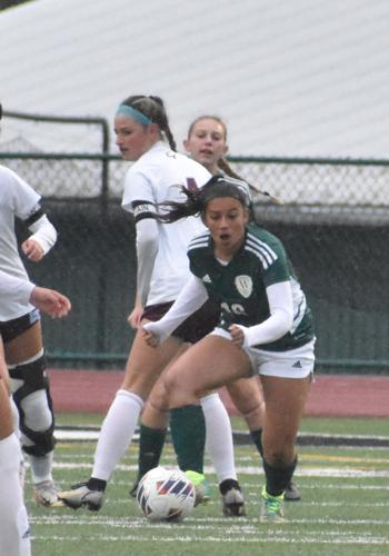 Girls Soccer Roundup: Wellsboro girls take down Mansfield | The ...
