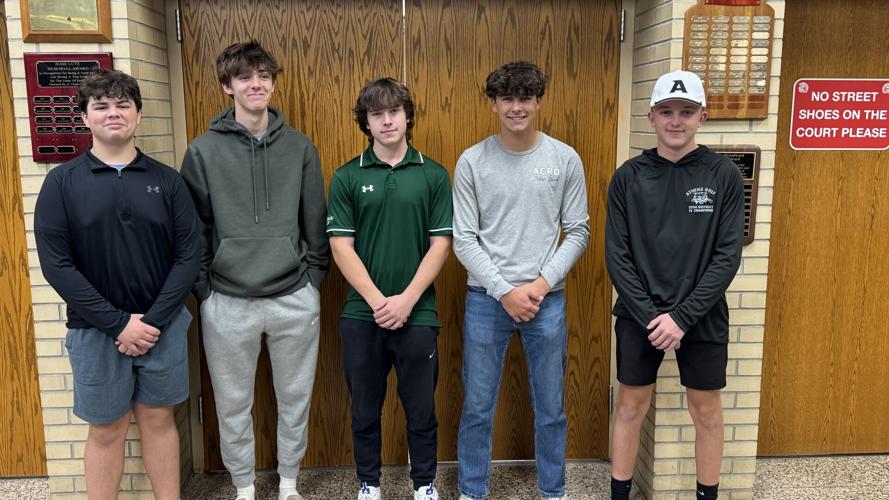 Three area golfers land on NTL All-Star Team | The Wellsboro/Mansfield ...