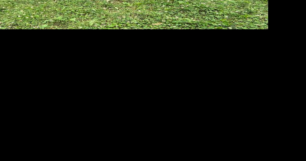 STAB competes at S3DA Outdoor Target State Tournament ...