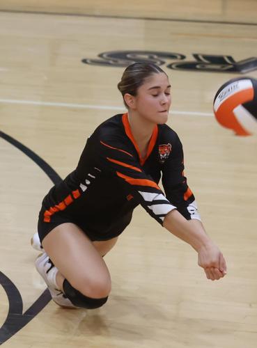 Galeton splits games over week, Cole sets new school record | Potter ...