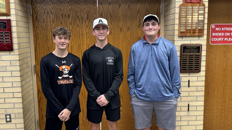 Three area golfers land on NTL All-Star Team | The Wellsboro/Mansfield ...