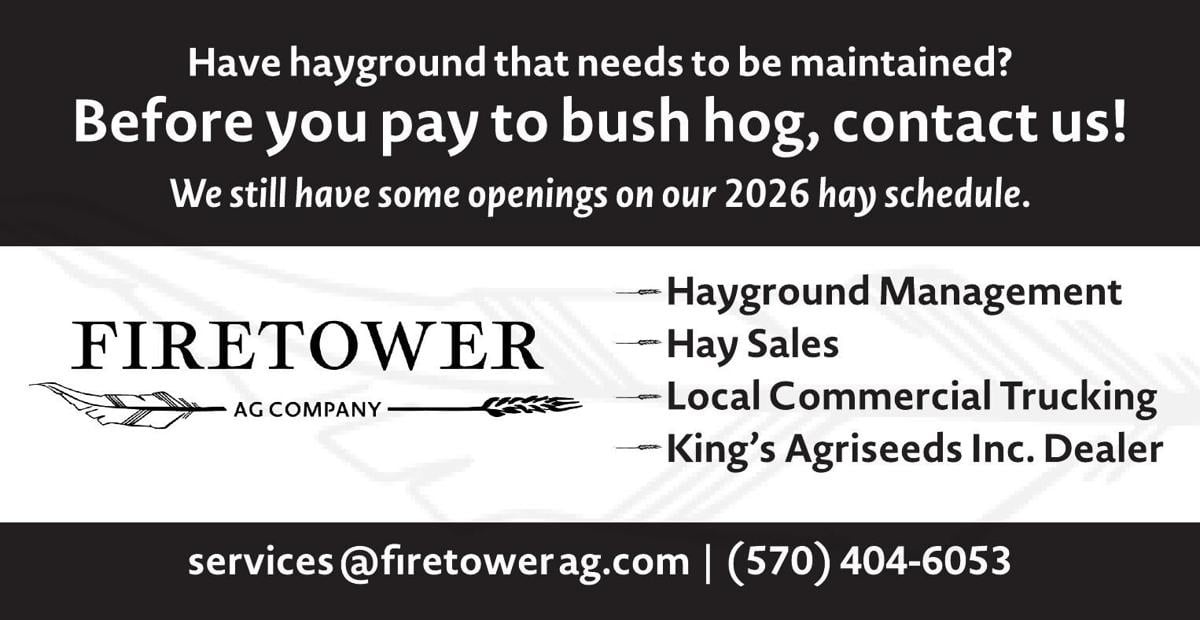 516485.pdf | Free Press Courier | tiogapublishing.com