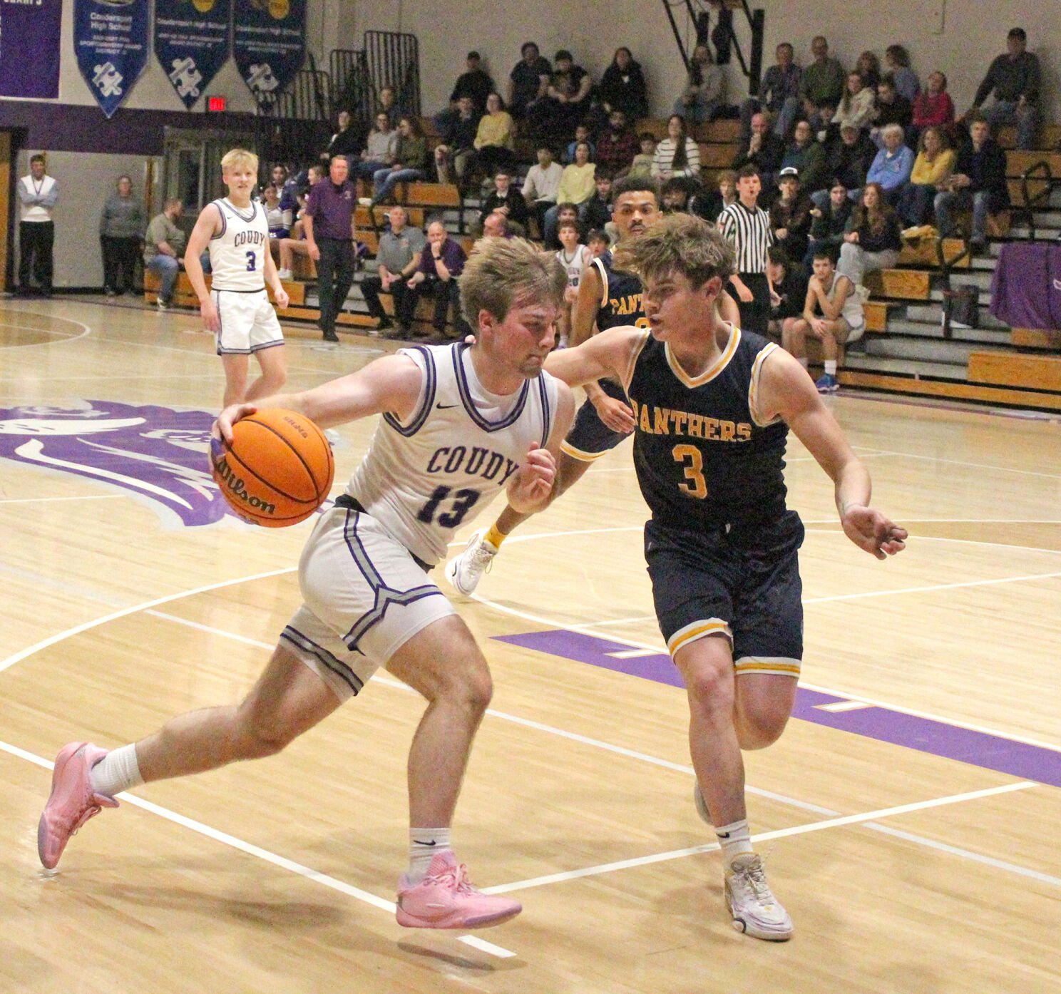 Falcons control the paint, win against Panthers | Potter Leader ...
