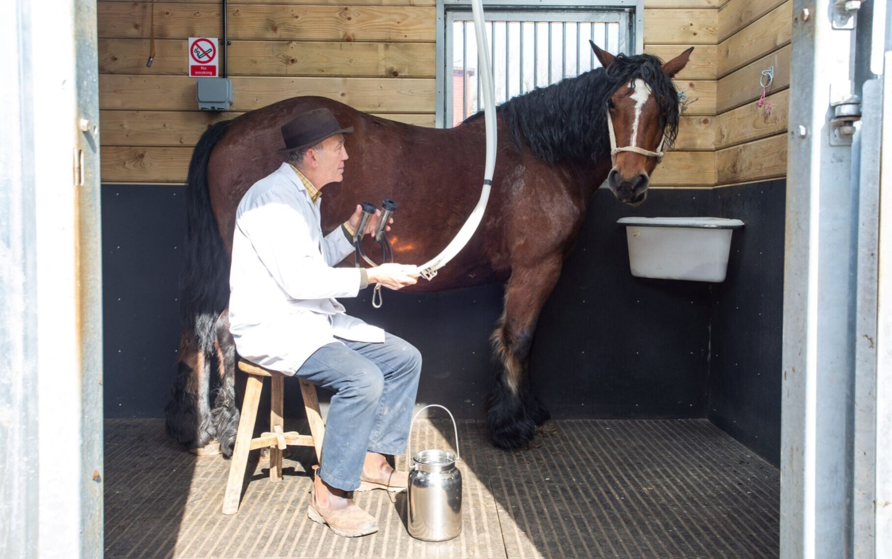 Farmer produces world’s most expensive milk | News | tiogapublishing.com