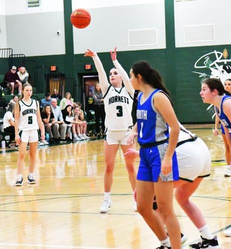 Lady Hornets roll to 2-0 start | The Wellsboro/Mansfield Gazette ...