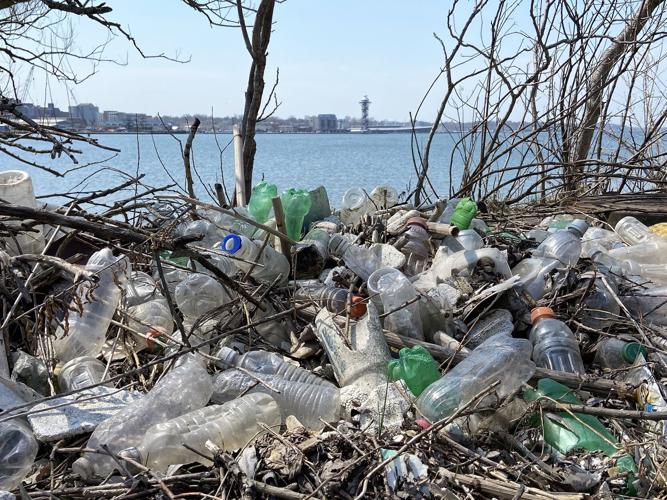 Lens on Litter photo contest winners announced | | tiogapublishing.com