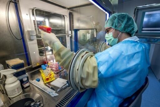 Experts growing new skin for Swiss fire victims | News ...