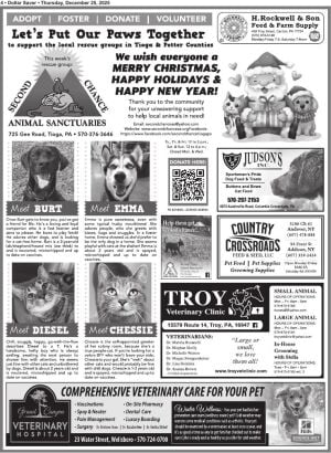 Page A17 | Dollar Saver - Zone 2 | tiogapublishing.com