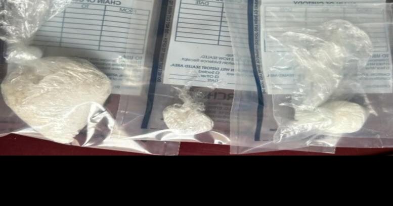 K-9 Gerif assists with felony methamphetamine arrest | News ...