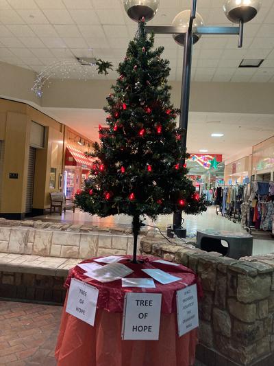 Light a bulb on American Cancer Society’s Tree of Hope during the ...