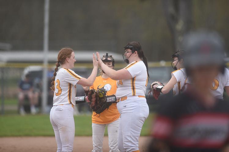Rough diamonds for Rockets softball, baseball is coming alive | Sports ...