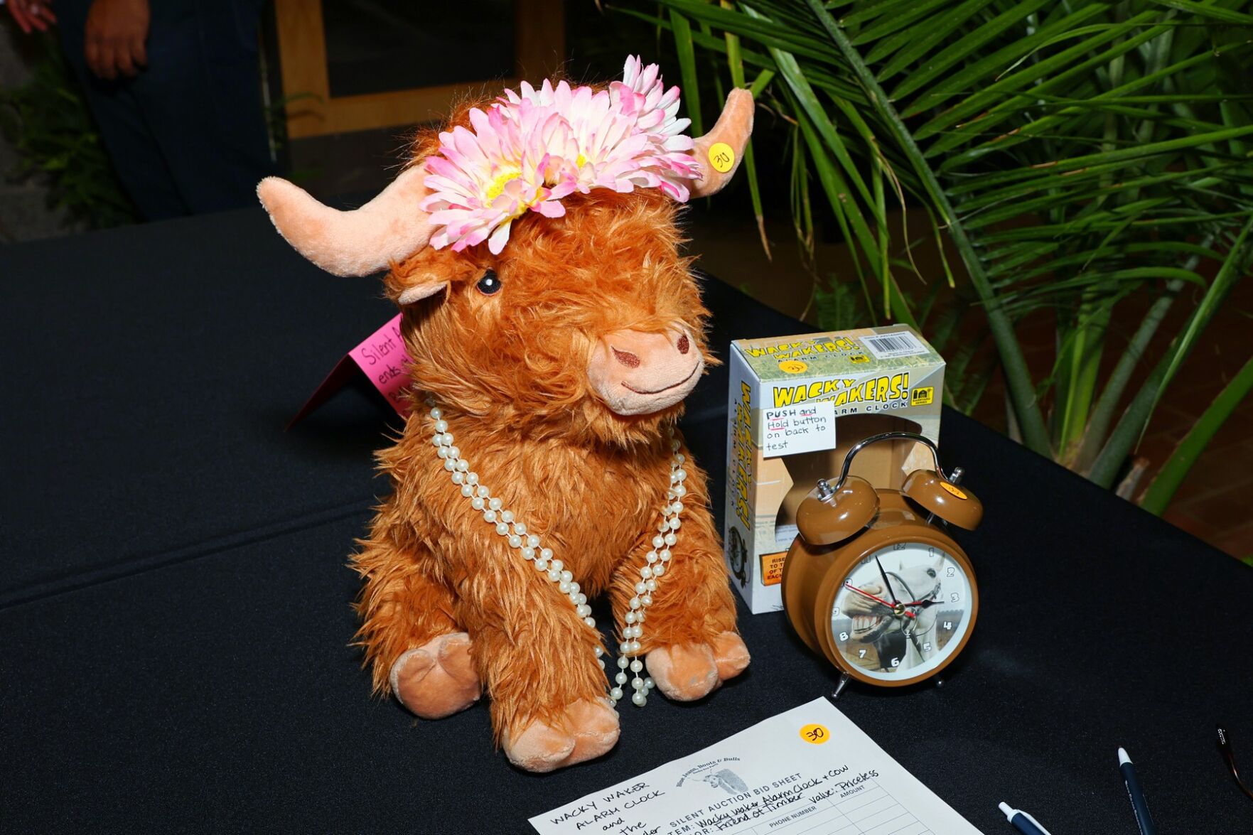 Blue Jeans, Boots, and Bulls | Photo Galleries | topsinlex.com