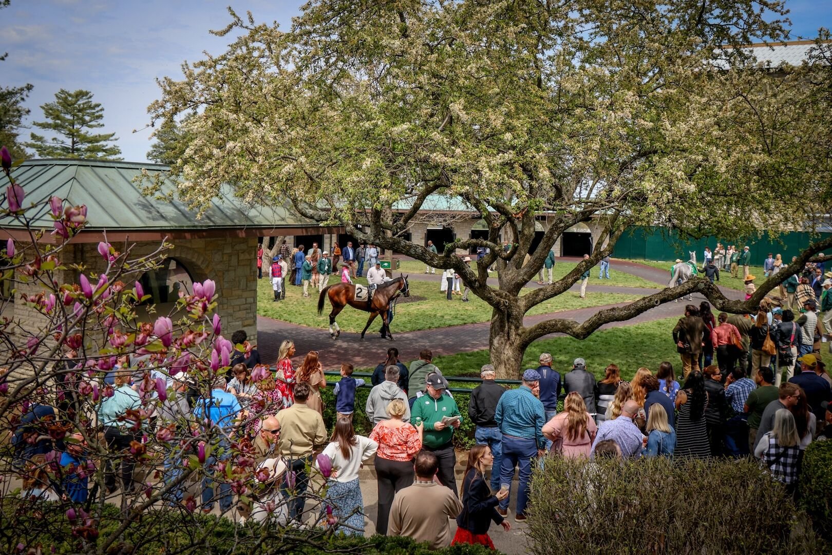 Keeneland Spring Meet 2025 | Photo Galleries | topsinlex.com