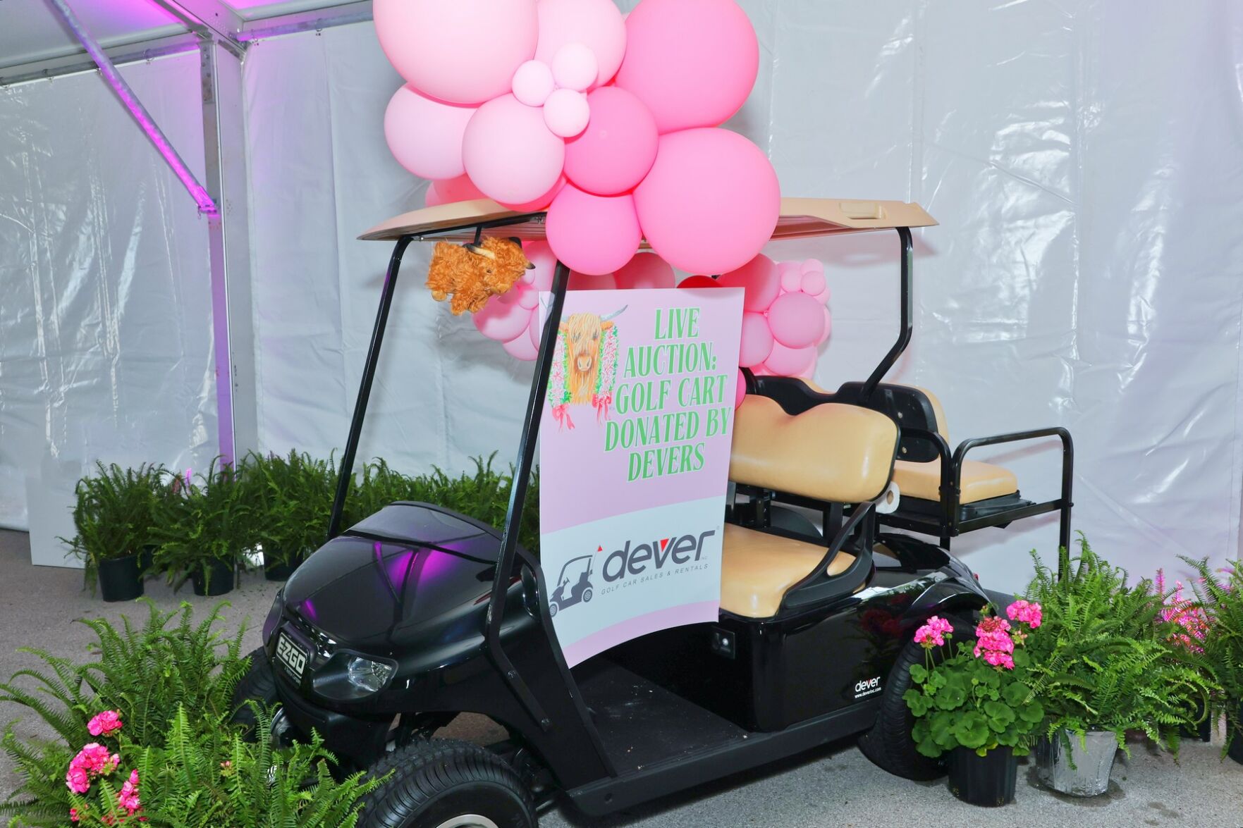 Blue Jeans, Boots, and Bulls | Photo Galleries | topsinlex.com