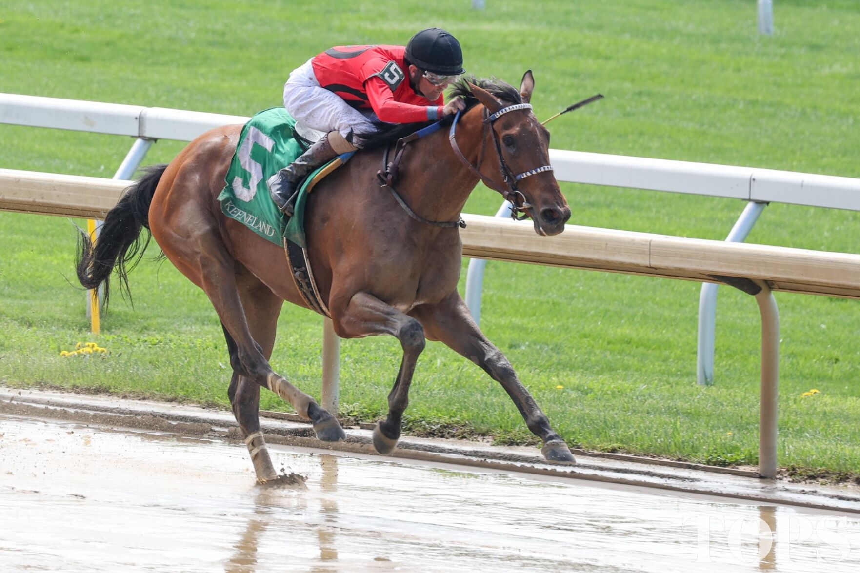 Keeneland Opening Day | Photo Galleries | topsinlex.com