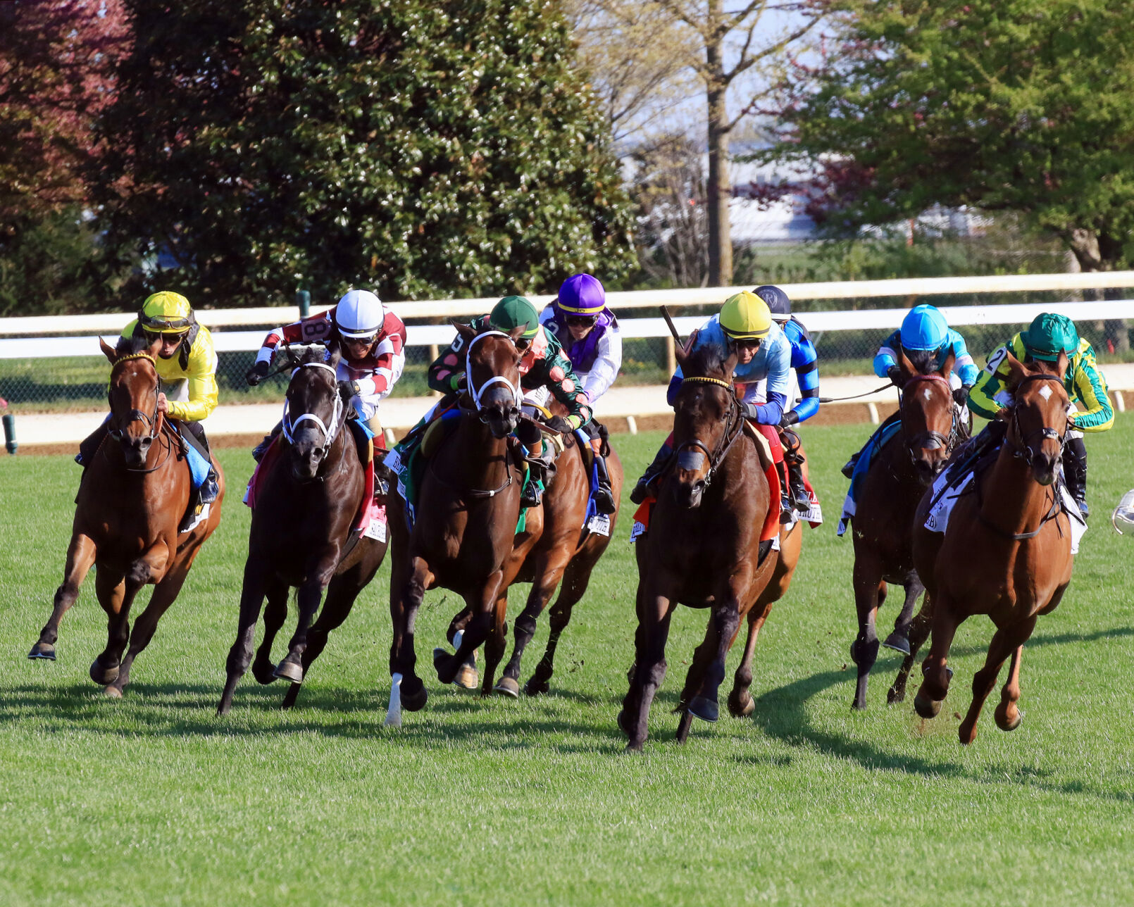 Keeneland Spring Racing | Photo Galleries | topsinlex.com