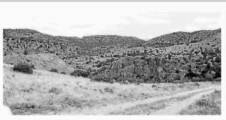 Page A5 eedition image