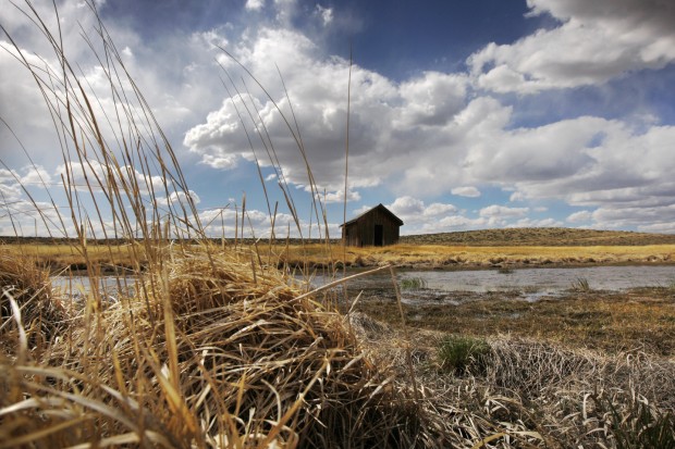 Giant Pathfinder Ranch project aims to swap conservation land for ...