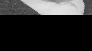 Doris Goddard Santo | Obituaries | trib.com