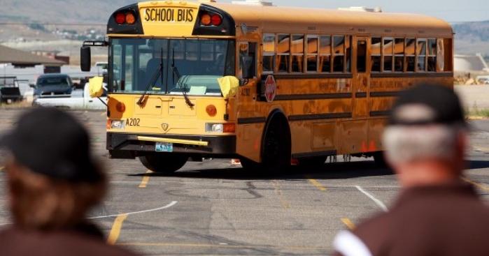 All aboard the bus rodeo