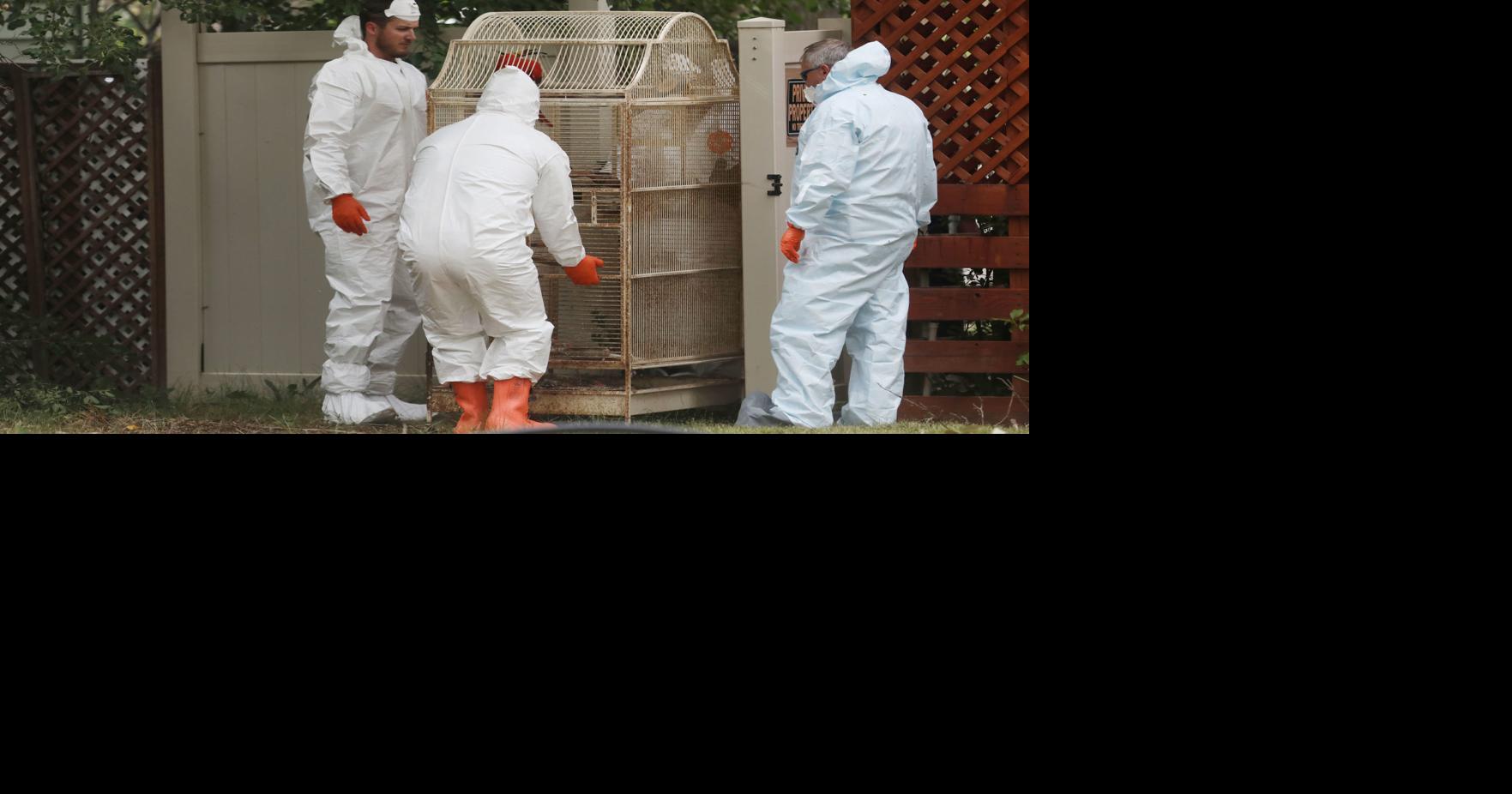 Casper police choose organization to re-home confiscated exotic birds